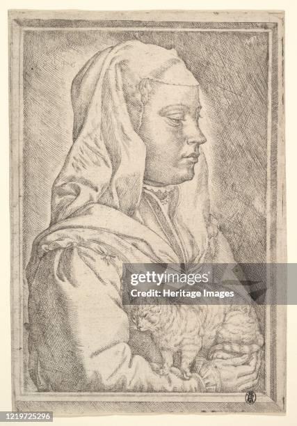 40 Jan Vermeyen Stock Photos, High-Res Pictures, and Images - Getty Images 40 Jan Vermeyen Stock Photos, High-Res Pictures, and Images - Getty Images