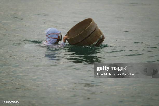 Japanese Pearl Diver Photos And Premium High Res Pictures Getty Images
