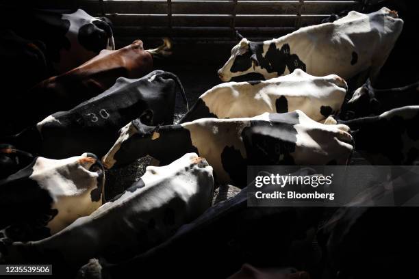 Us Agriculture Department Photos and Premium High Res Pictures - Getty ... Us Agriculture Department Photos and Premium High Res Pictures - Getty ...