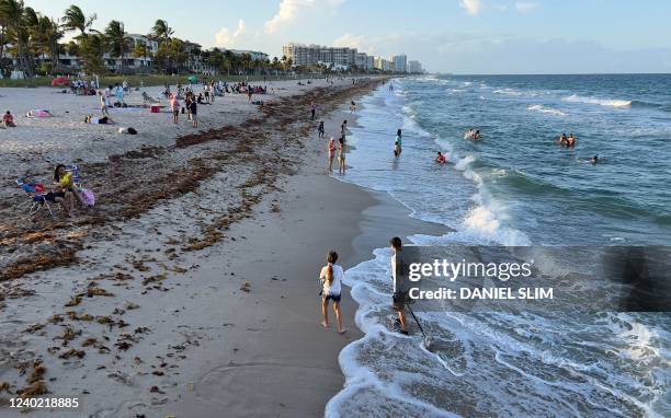 Sargassum Beach Fotografías e imágenes de stock - Getty Images Sargassum Beach Fotografías e imágenes de stock - Getty Images