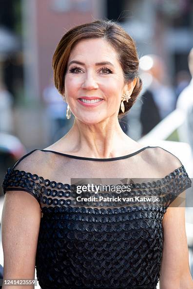 Crown Princess Mary Of Denmark Attends A Danish Dutch Trade Dinner At