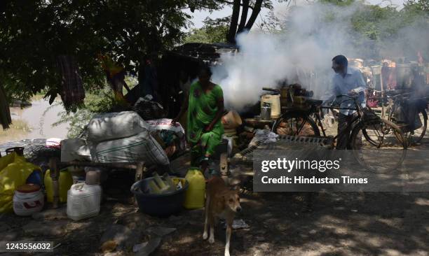 Mosquito Infestation Photos and Premium High Res Pictures - Getty Images Mosquito Infestation Photos and Premium High Res Pictures - Getty Images