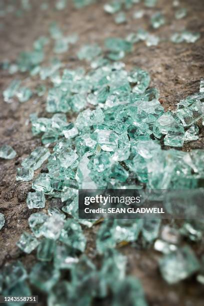 Squished Against Window Photos And Premium High Res Pictures Getty Images