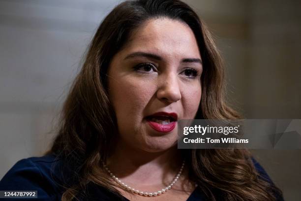 Delia Ramirez Photos and Premium High Res Pictures - Getty Images Delia Ramirez Photos and Premium High Res Pictures - Getty Images