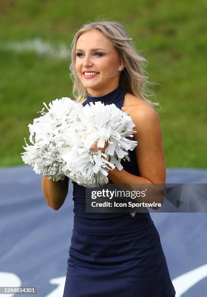 Panthers Cheerleaders Photos And Premium High Res Pictures Getty Images