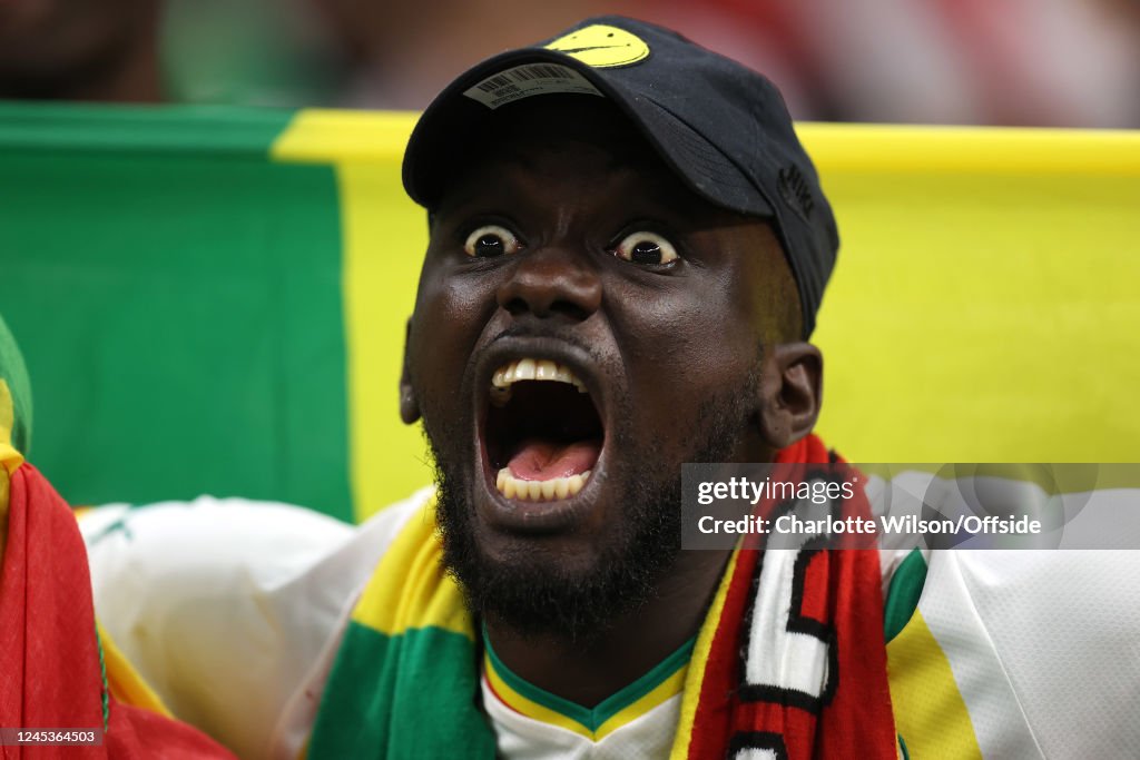 a Senegal supporter during the FIFA World Cup Qatar 2022 Round of 16 ... a Senegal supporter during the FIFA World Cup Qatar 2022 Round of 16 ...