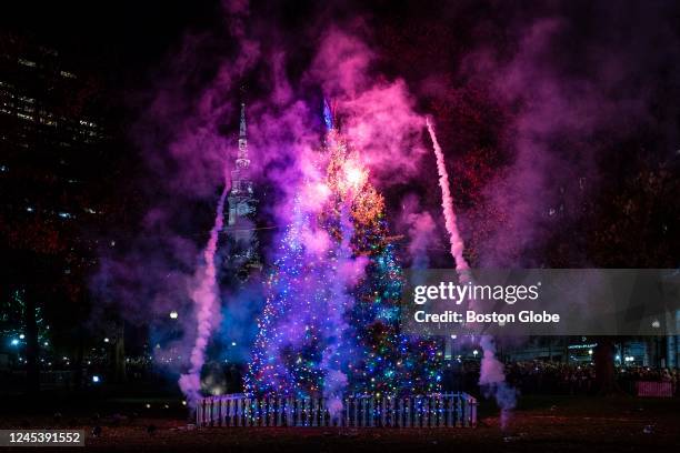 Boston Common Christmas Tree Photos And Premium High Res Pictures