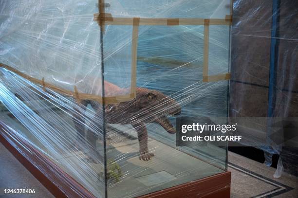 Mid Triassic Fotografías E Imágenes De Stock Getty Images