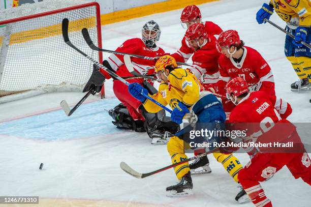 Matej Stransky Photos And Premium High Res Pictures Getty Images