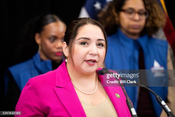 Delia Ramirez Photos and Premium High Res Pictures - Getty Images Delia Ramirez Photos and Premium High Res Pictures - Getty Images