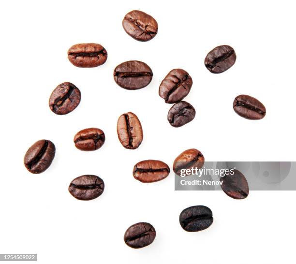 Coffee Cherry Bean Photos and Premium High Res Pictures - Getty Images Coffee Cherry Bean Photos and Premium High Res Pictures - Getty Images