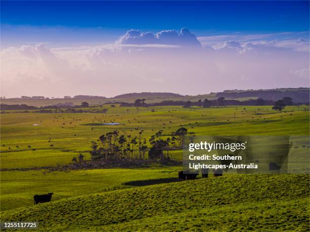 Bass Strait Islands Photos And Premium High Res Pictures Getty Images