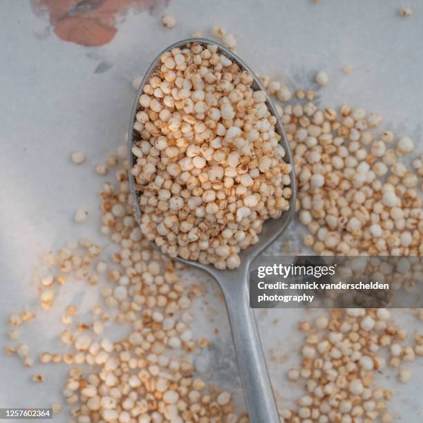 Fat Jar Photos and Premium High Res Pictures - Getty Images Fat Jar Photos and Premium High Res Pictures - Getty Images