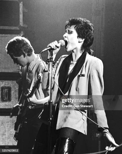 43 Siouxsie Siouxsteve Severin Photos And High Res Pictures Getty Images