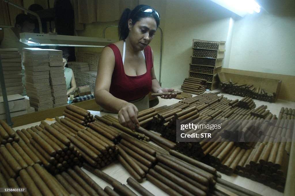 A Cuban Cigar Maker Sorts Cigars At The Cohiba Tobbaco Factory In El