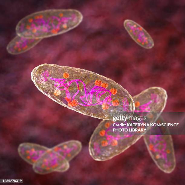 Pneumonic Plague Photos and Premium High Res Pictures - Getty Images Pneumonic Plague Photos and Premium High Res Pictures - Getty Images