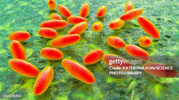 Pneumonic Plague Photos and Premium High Res Pictures - Getty Images Pneumonic Plague Photos and Premium High Res Pictures - Getty Images