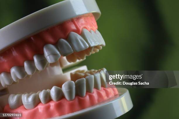 Plaster Mouth Photos and Premium High Res Pictures - Getty Images Plaster Mouth Photos and Premium High Res Pictures - Getty Images