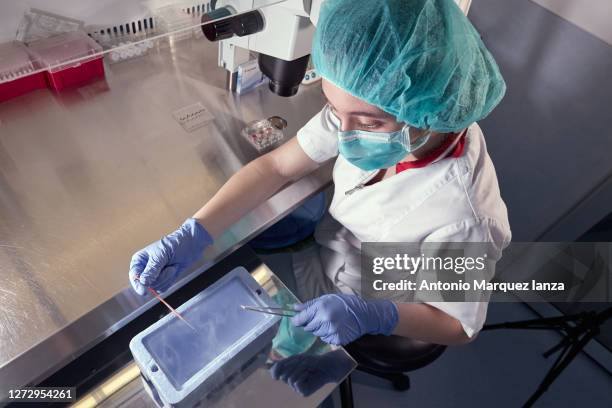 Ivf Process Photos And Premium High Res Pictures Getty Images
