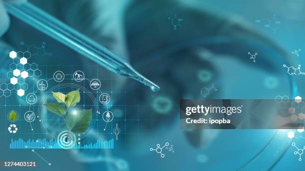Understanding the Science Behind Esthemax Products