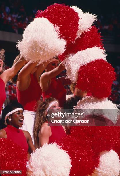 University Of Oklahoma Sooners Cheerleader Photos And Premium High Res