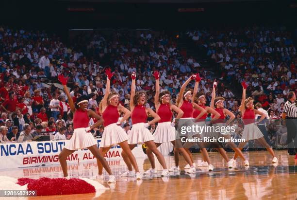 University Of Oklahoma Sooners Cheerleader Photos And Premium High Res