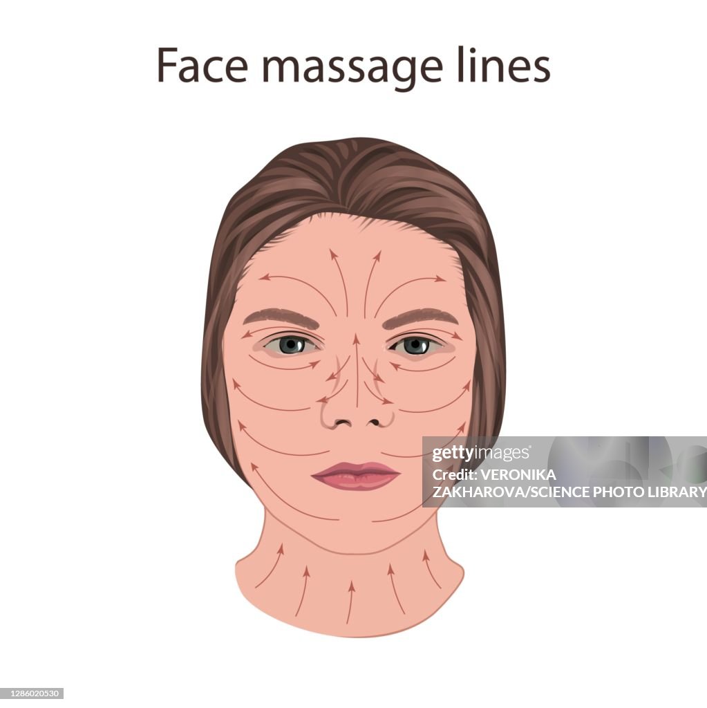 Face Massage Lines Illustration High Res Vector Graphic Getty Images