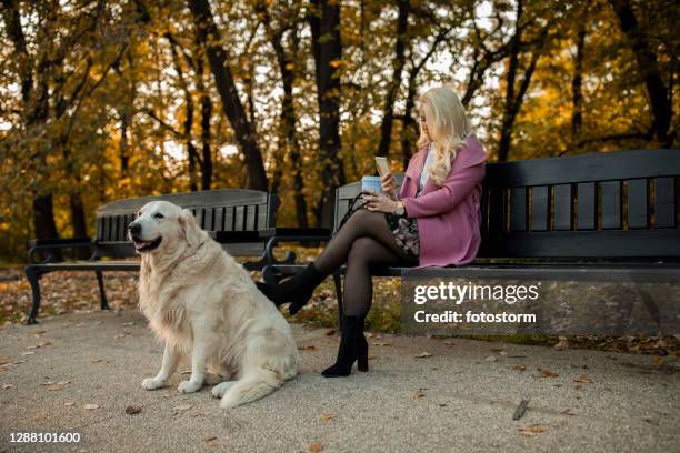 Dog and his owner taking a break from walking at the public park 이미지 ...