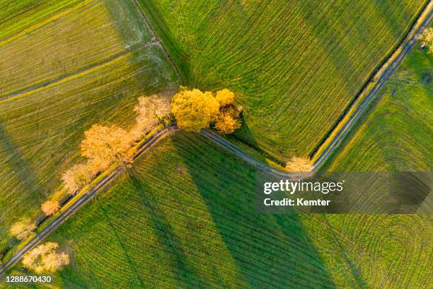 Grassland Top View Photos And Premium High Res Pictures Getty Images
