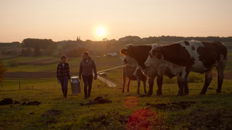 823 Woman Being Milked Stock Videos Footage And 4k Video Clips Getty