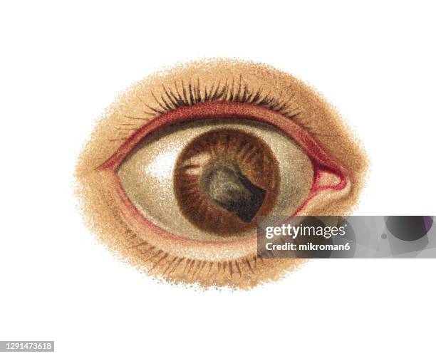 Opacity Background Photos and Premium High Res Pictures - Getty Images Opacity Background Photos and Premium High Res Pictures - Getty Images