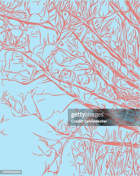 Jungle Theme Background High Res Illustrations - Getty Images Jungle Theme Background High Res Illustrations - Getty Images
