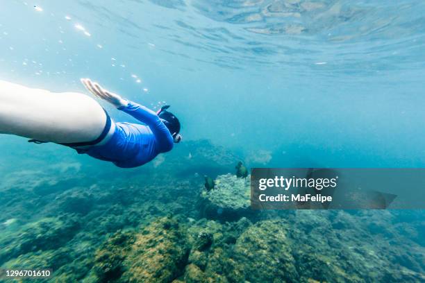 Bottomless Girl Photos And Premium High Res Pictures Getty Images