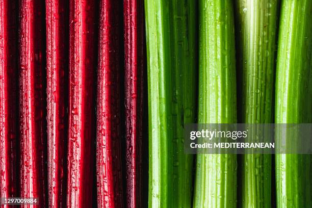 Red chard stems and celery stems parallel in a row with water dew drops ...