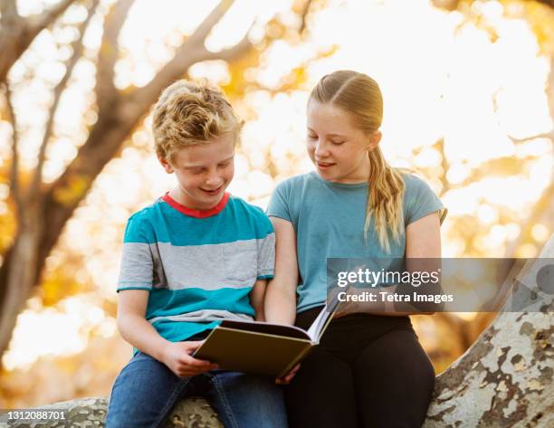 Brother And Sister Reading A Book Photos And Premium High Res Pictures