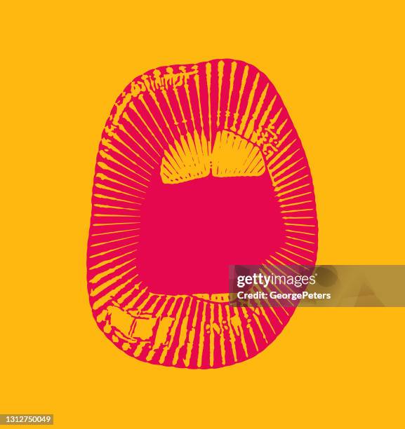 Illustrations Cliparts Dessins Animés Et Icônes De Mouth Open Getty Images