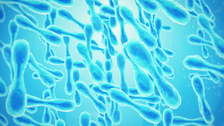 Yeast Under Microscope Videos And Hd Footage Getty Images