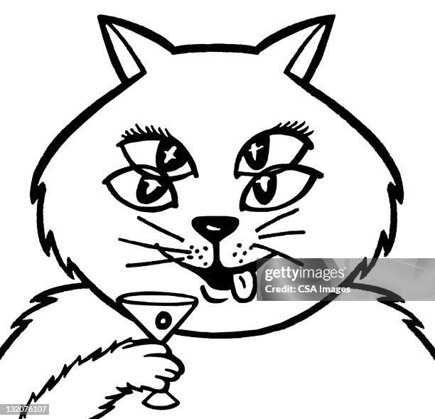Cat Lick Face Photos And Premium High Res Pictures Getty Images