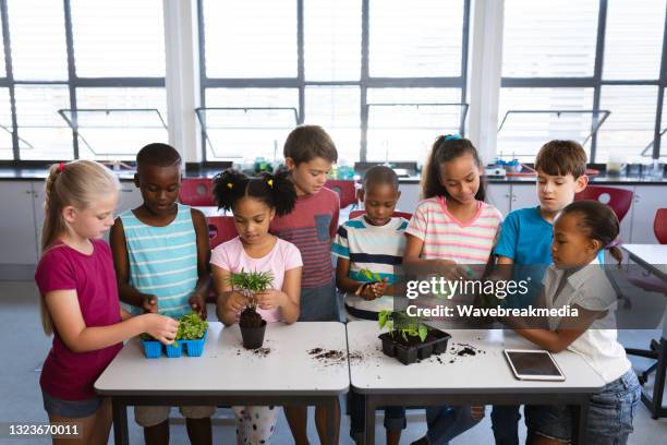 Educational Gardening in Georgia: Lessons from the Savannah High School ...