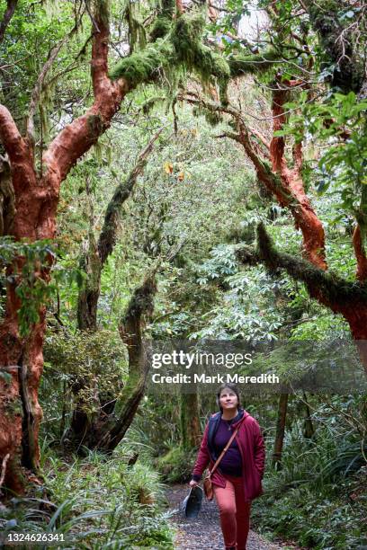 13 Goblin Forest New Zealand Stock Photos, High-Res Pictures, and ... 13 Goblin Forest New Zealand Stock Photos, High-Res Pictures, and ...