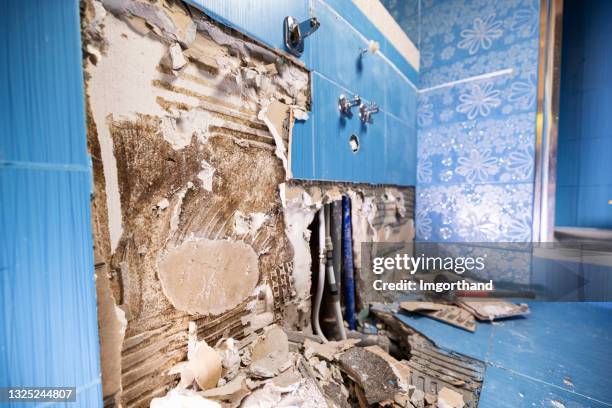 DIY vs. Professional Bathroom Demolition: What You Need to Know