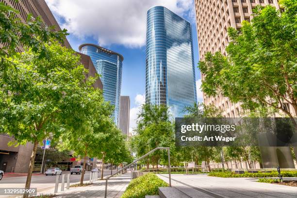 Top 5 Affordable Landscaping Trends in Houston to Elevate Your Outdoor ...