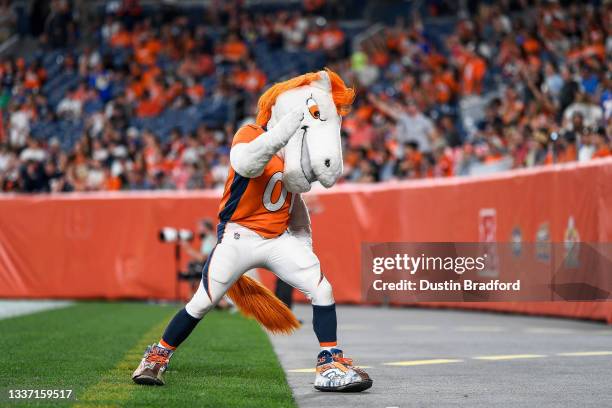 377 Broncos Mascot Miles Stock Photos, High-Res Pictures, and Images ... 377 Broncos Mascot Miles Stock Photos, High-Res Pictures, and Images ...