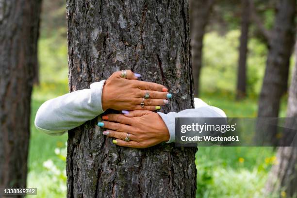 Tree Hugging Woman Photos And Premium High Res Pictures Getty Images