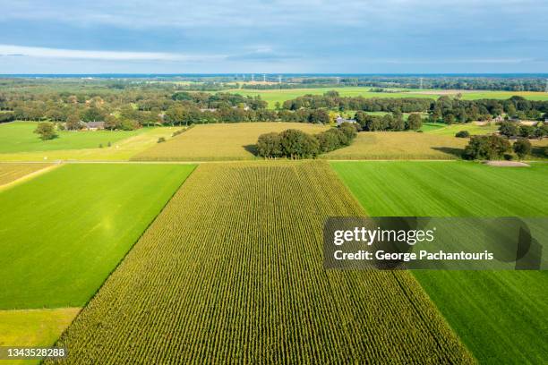 Grassland Ecosystem Photos And Premium High Res Pictures Getty Images