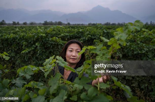 Emma Gao Photos And Premium High Res Pictures Getty Images