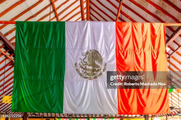 Mexican Flag Wallpaper Photos and Premium High Res Pictures - Getty Images Mexican Flag Wallpaper Photos and Premium High Res Pictures - Getty Images