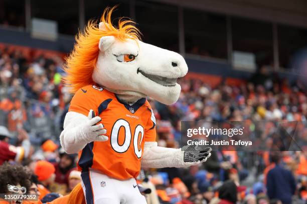 Broncos Mascot Miles Photos and Premium High Res Pictures - Getty Images Broncos Mascot Miles Photos and Premium High Res Pictures - Getty Images