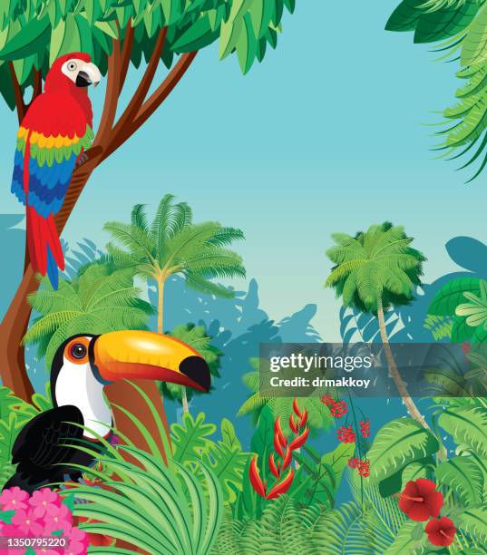 Cute Tropical Rainforest Birds Cute Tropical Rainforest Birds