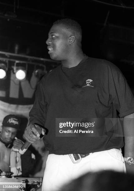 698 Erick Sermon Photos And High Res Pictures Getty Images